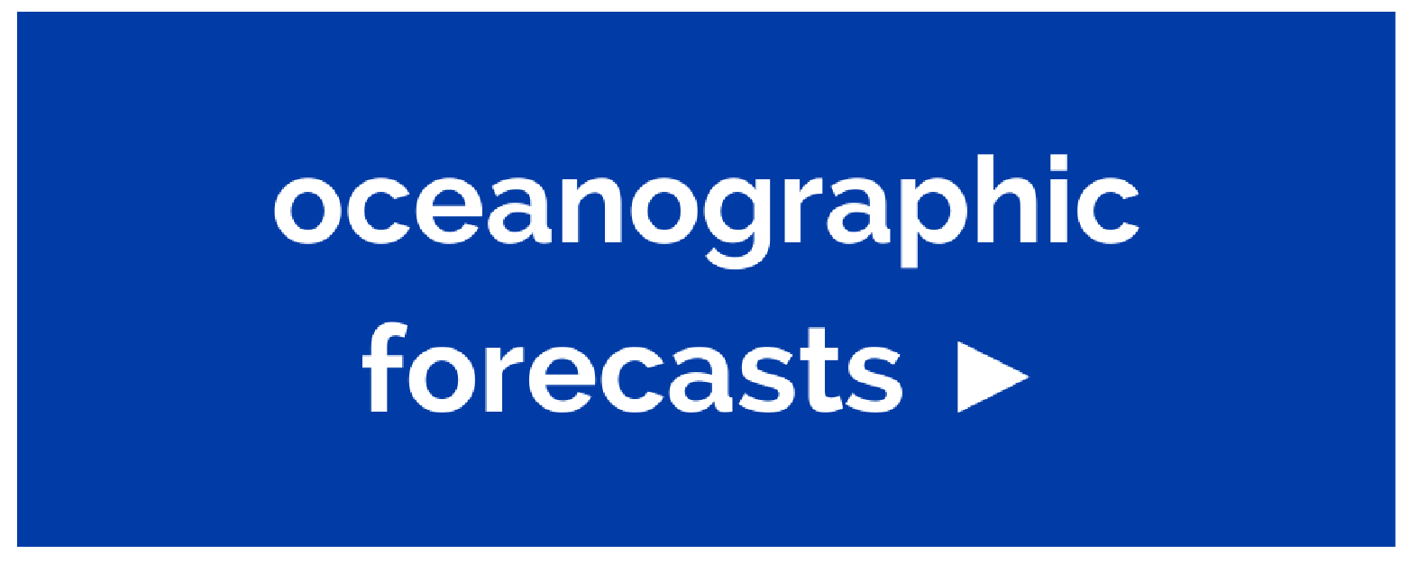 Sport fishing outfit Ashram on winning with TIMEZERO – TIMEZERO Blog